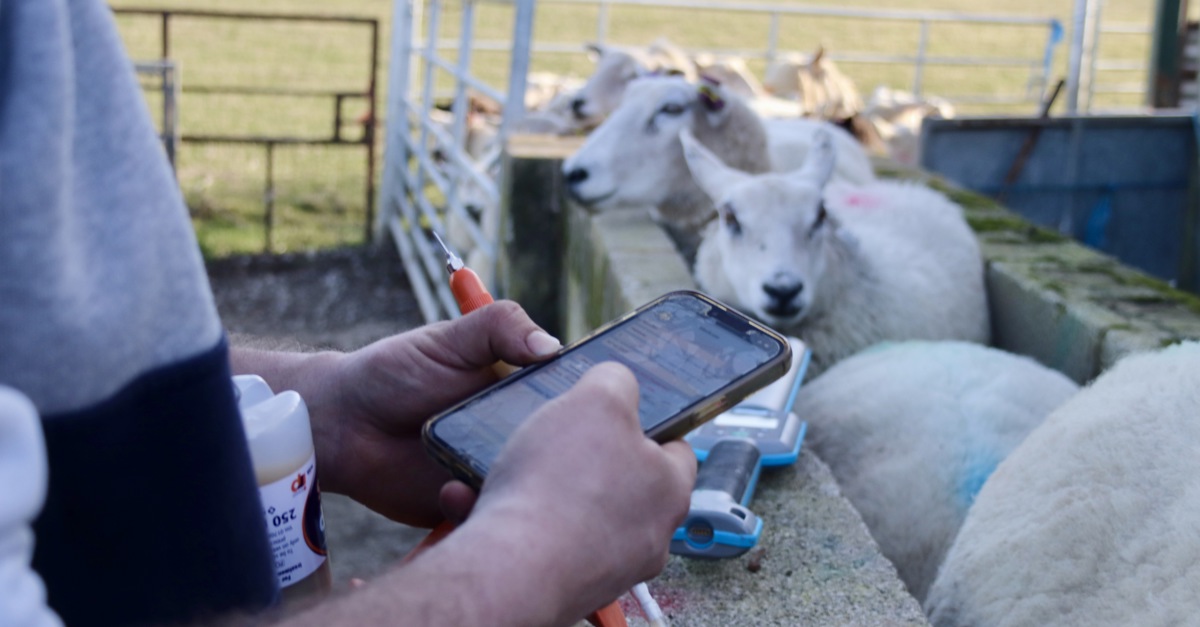 iLivestock and its Agri-Tech products reach a world stage | Scottish ...